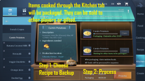 Dragon Raja Cuisines Career Guide - Dragon Raja