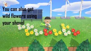 Animal Crossing Flower Breeding Guide - Animal Crossing: New Horizons
