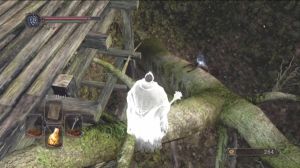 Forest of the Fallen Giants (2) - Dark Souls II