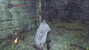 Forest of the Fallen Giants (2) - Dark Souls II