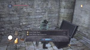Forest of the Fallen Giants (3) - Dark Souls II