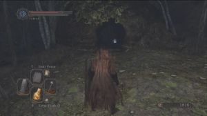 Huntsman Copse (1) - Dark Souls II