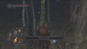 Huntsman Copse (1) - Dark Souls II