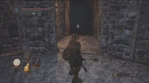 Huntsman Copse (1) - Dark Souls II