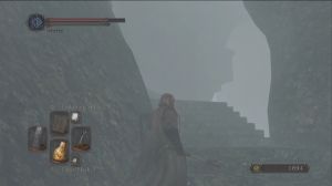 Shaded Woods (1) - Dark Souls II
