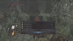 Shaded Woods (2) - Dark Souls II