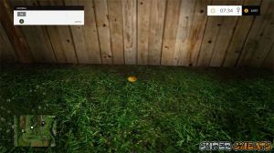 Coin Collector - Farming Simulator 15