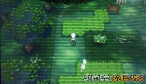 Petalburg Woods - Pokemon Alpha Sapphire