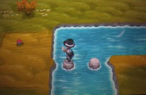 Route 15 – Brun Way - Pokemon X