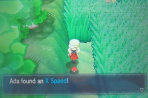 Route 6: Palais Lane - Pokemon Y