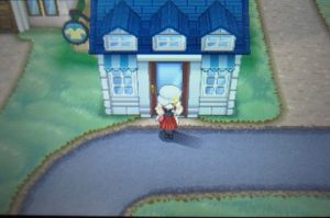 Cyllage City - Pokemon Y