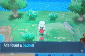 Route 12: Fourrage Road - Pokemon Y