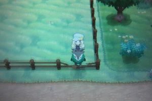 Route 12: Fourrage Road - Pokemon Y