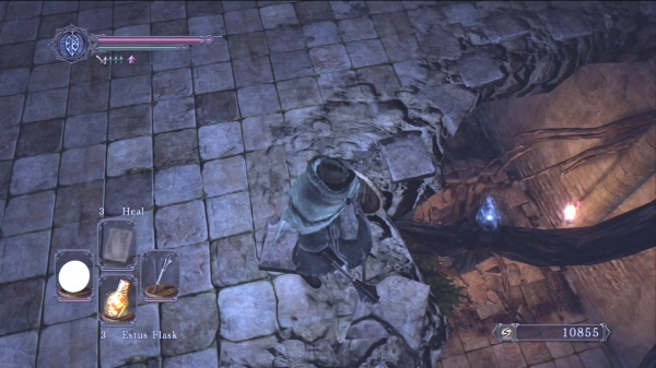 Forest of the Fallen Giants (3) - Dark Souls II