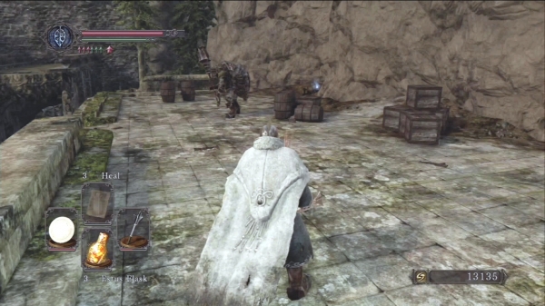 Forest of the Fallen Giants (3) - Dark Souls II