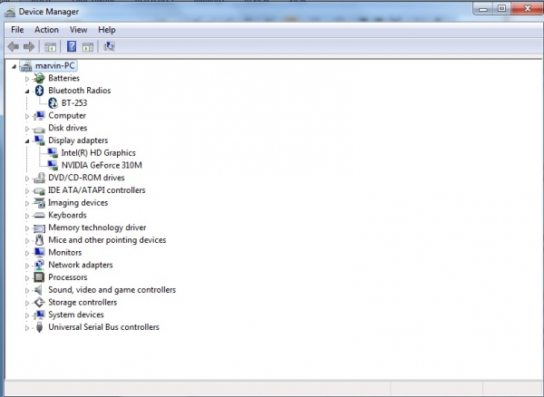 -Expand the Display Adapters so you can see what Graphics Card are ...