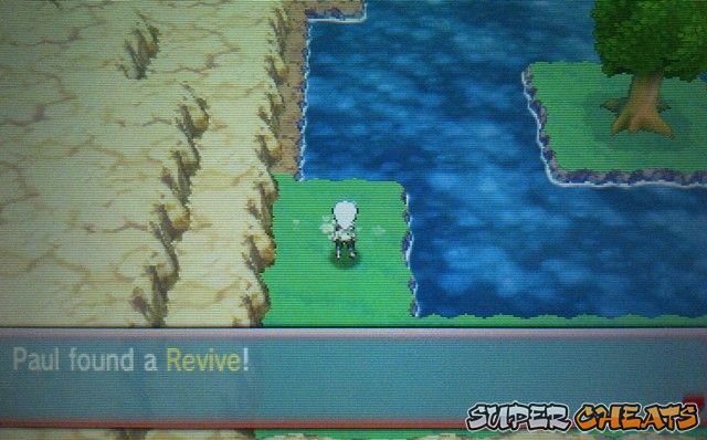 Route 114 - Pokemon Alpha Sapphire