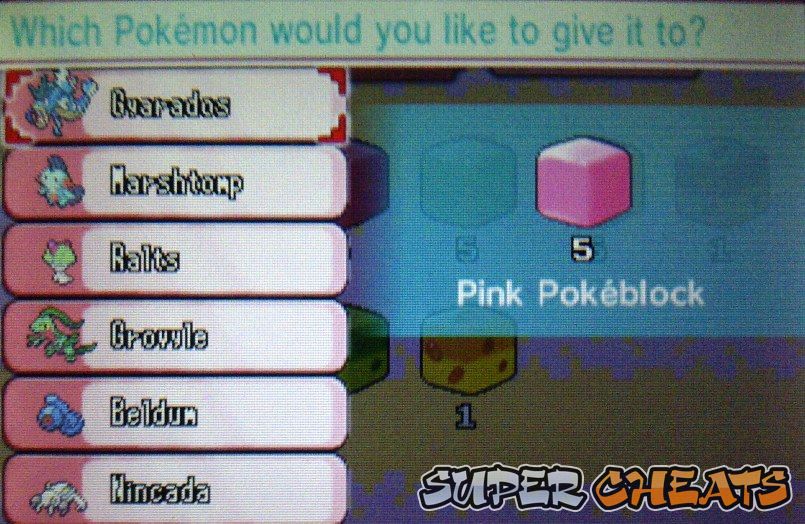 Pokeblocks - Pokemon Alpha Sapphire