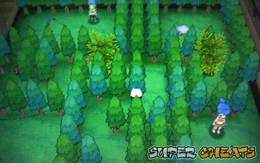 Trick House - Pokemon Alpha Sapphire