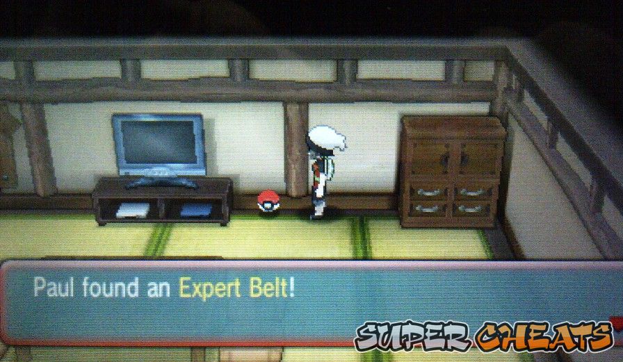 Trick House - Pokemon Alpha Sapphire