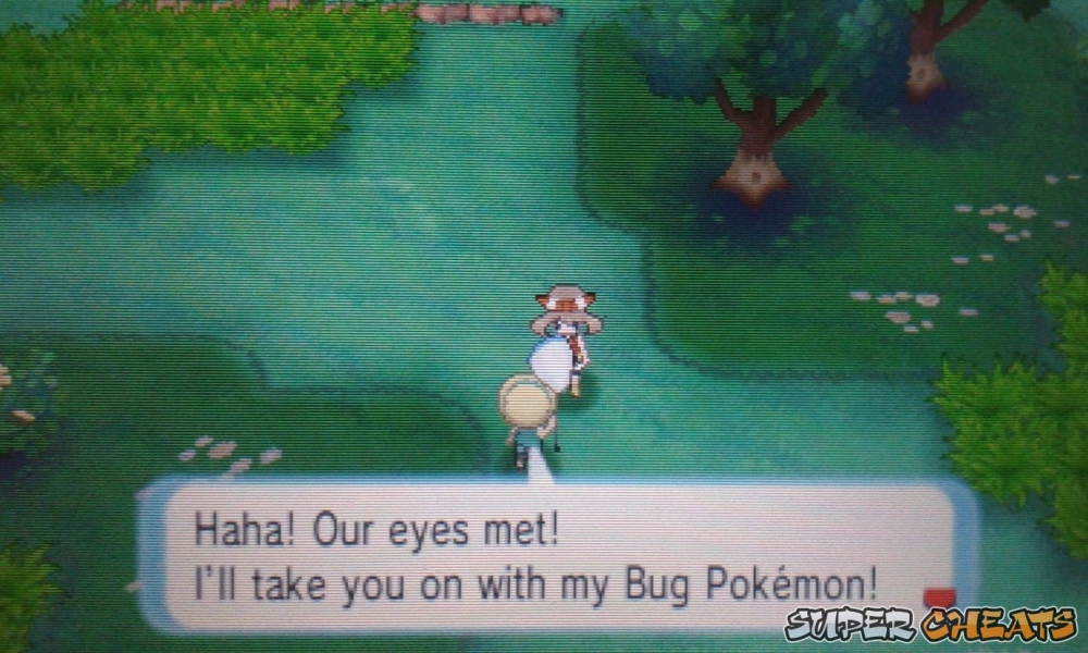 Route 102 - Pokemon Omega Ruby