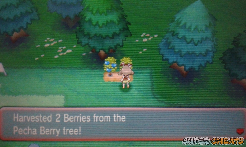 Route 102 - Pokemon Omega Ruby