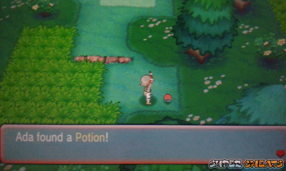 Route 102 - Pokemon Omega Ruby