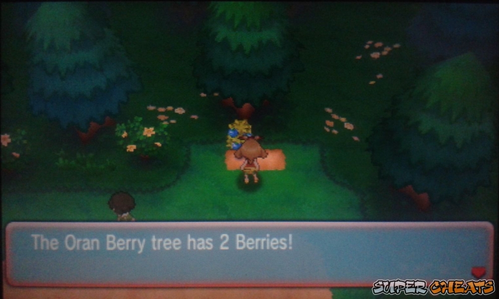 Route 104 Part 1 - Pokemon Omega Ruby