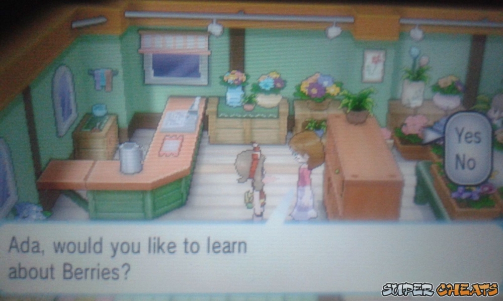 Route 104 Part 2 - Pokemon Omega Ruby