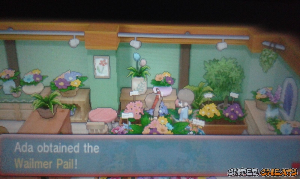 Route 104 Part 2 - Pokemon Omega Ruby