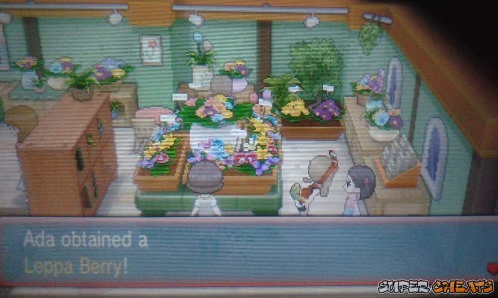 Route 104 Part 2 - Pokemon Omega Ruby