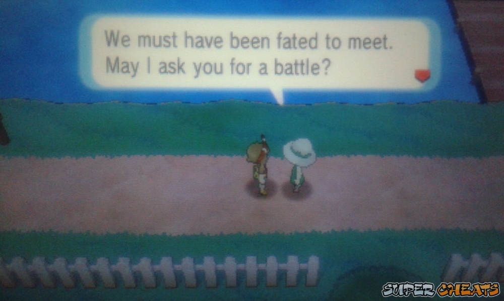 Route 104 Part 2 - Pokemon Omega Ruby