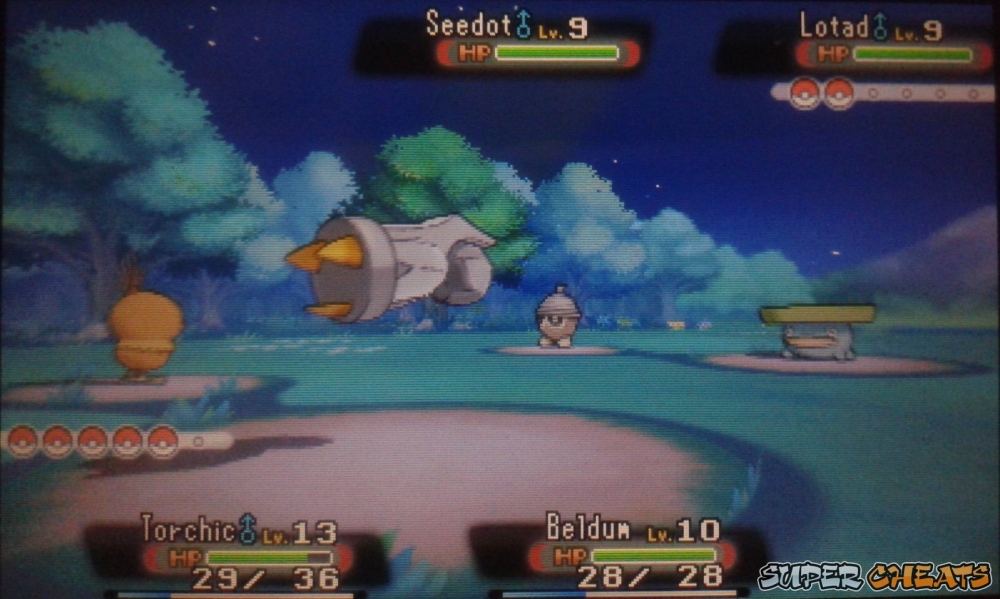 Route 104 Part 2 - Pokemon Omega Ruby