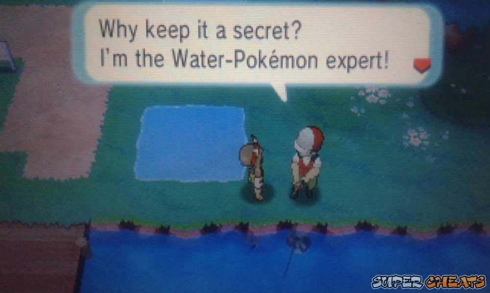 Route 104 Part 2 - Pokemon Omega Ruby