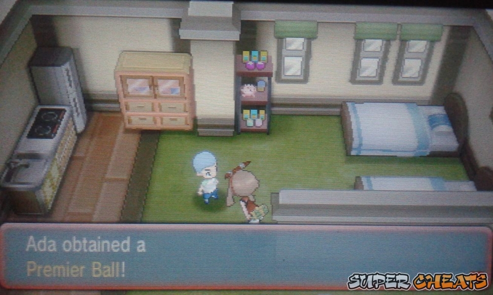 Rustboro City - Pokemon Omega Ruby