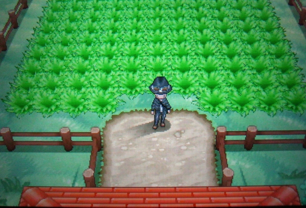 Friend Safari - Pokemon X