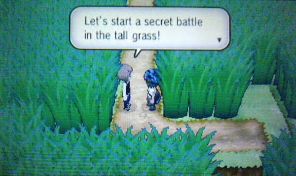 Route 6 - Palais Lane - Pokemon X