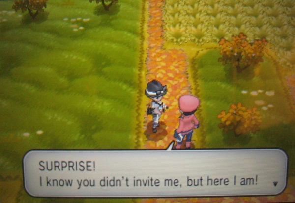 Route 15 – Brun Way - Pokemon X