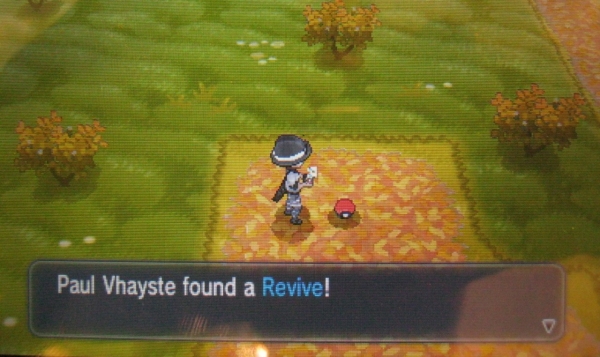 Route 15 – Brun Way - Pokemon X