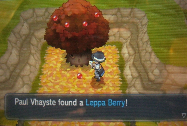 Route 15 – Brun Way - Pokemon X