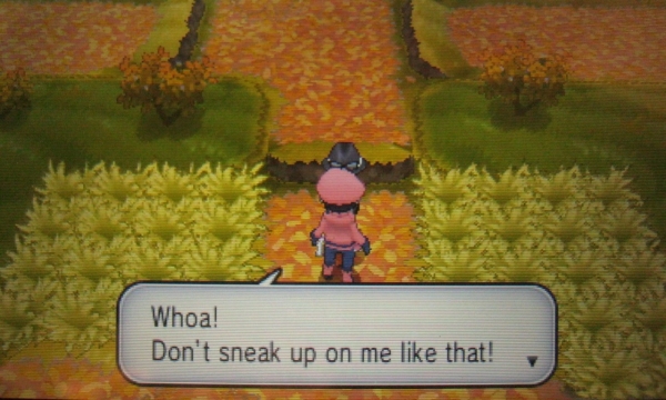 Route 15 – Brun Way - Pokemon X
