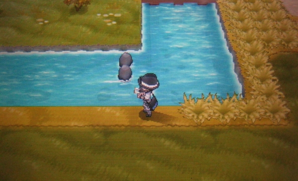 Route 15 – Brun Way - Pokemon X