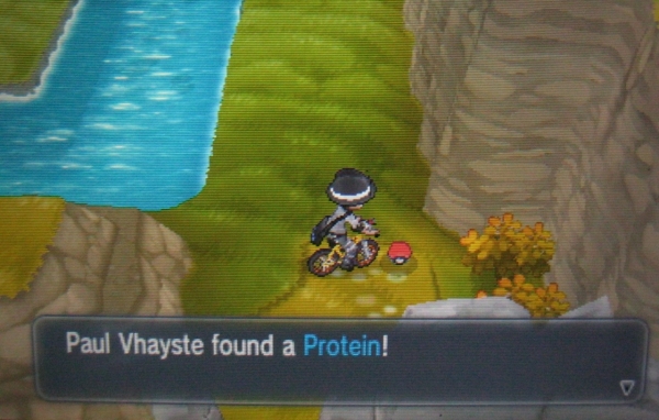 Route 15 – Brun Way - Pokemon X