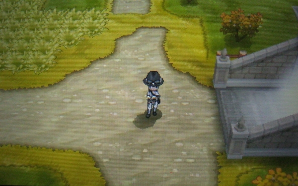 Route 15 – Brun Way - Pokemon X