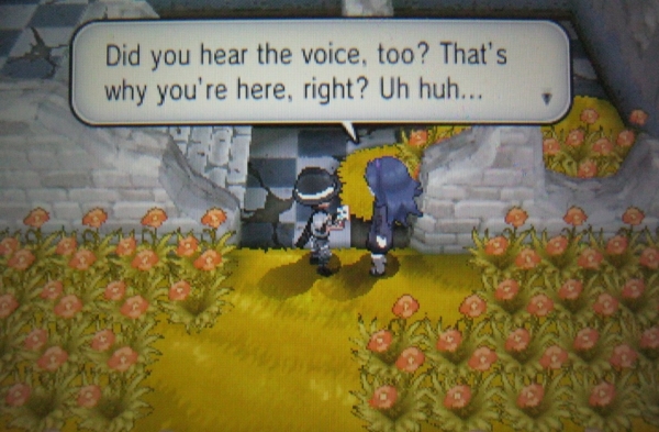 Route 15 – Brun Way - Pokemon X
