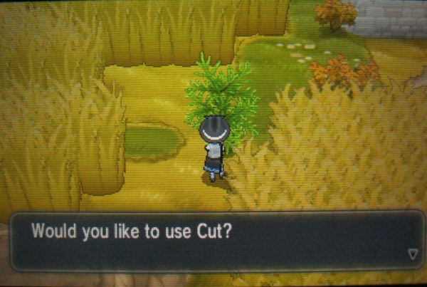 Route 16 – Melancolie Path - Pokemon X