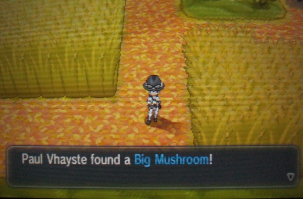 Route 16 – Melancolie Path - Pokemon X
