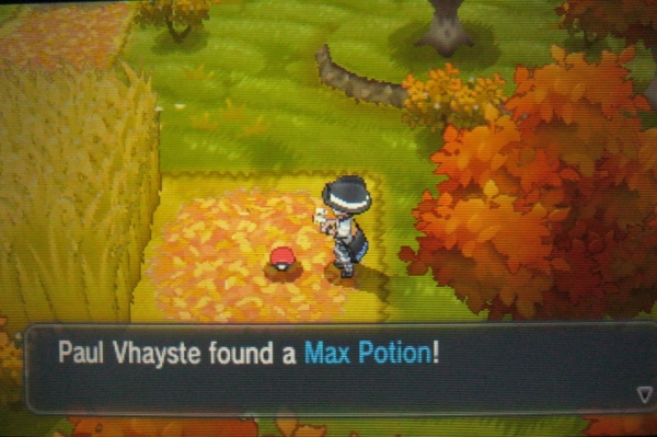 Route 16 – Melancolie Path - Pokemon X