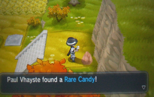 Route 16 – Melancolie Path - Pokemon X