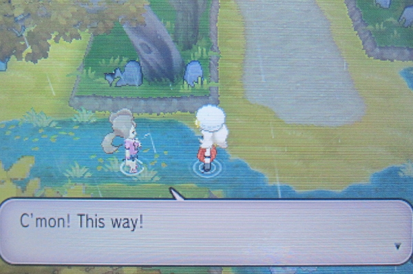 Route 14: Laverre Nature Trail - Pokemon Y